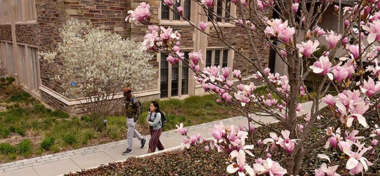 Major Requirements - Princeton University - Department of Economics