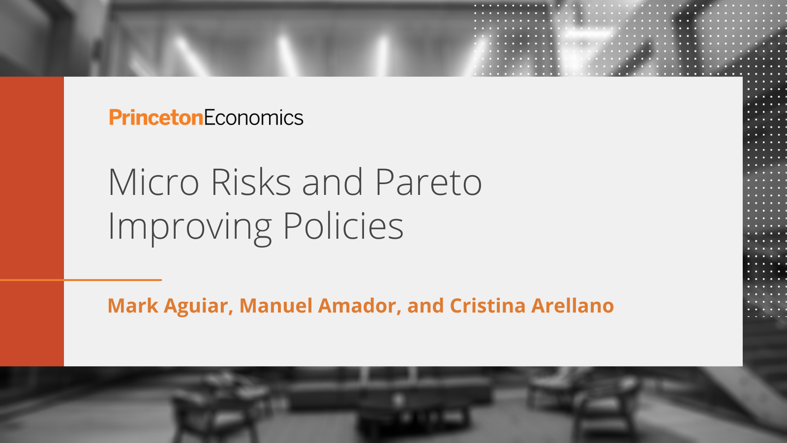 Micro Risks and Pareto Improving Policies | Princeton University ...